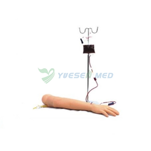 YSBIX-HS2 Advanced arm venipuncture and deltoid muscle injection model ...