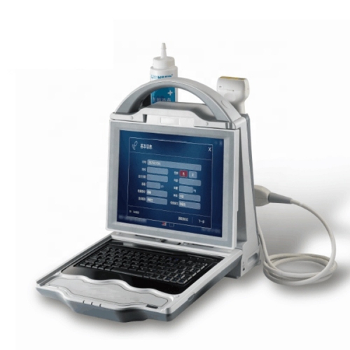 YSDXA-800E DXA Bone Densitometry Bone Density Scanning Dual-Energy X ...
